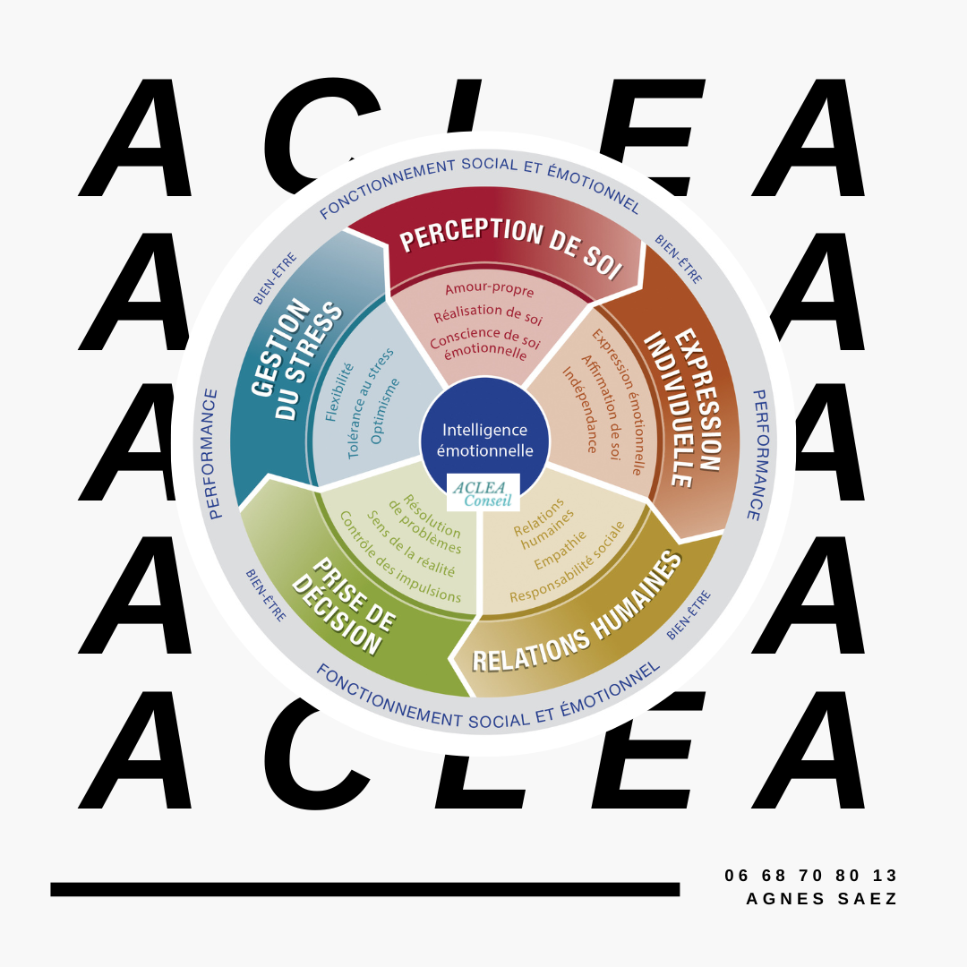 Accueil - ACLEA Conseil
