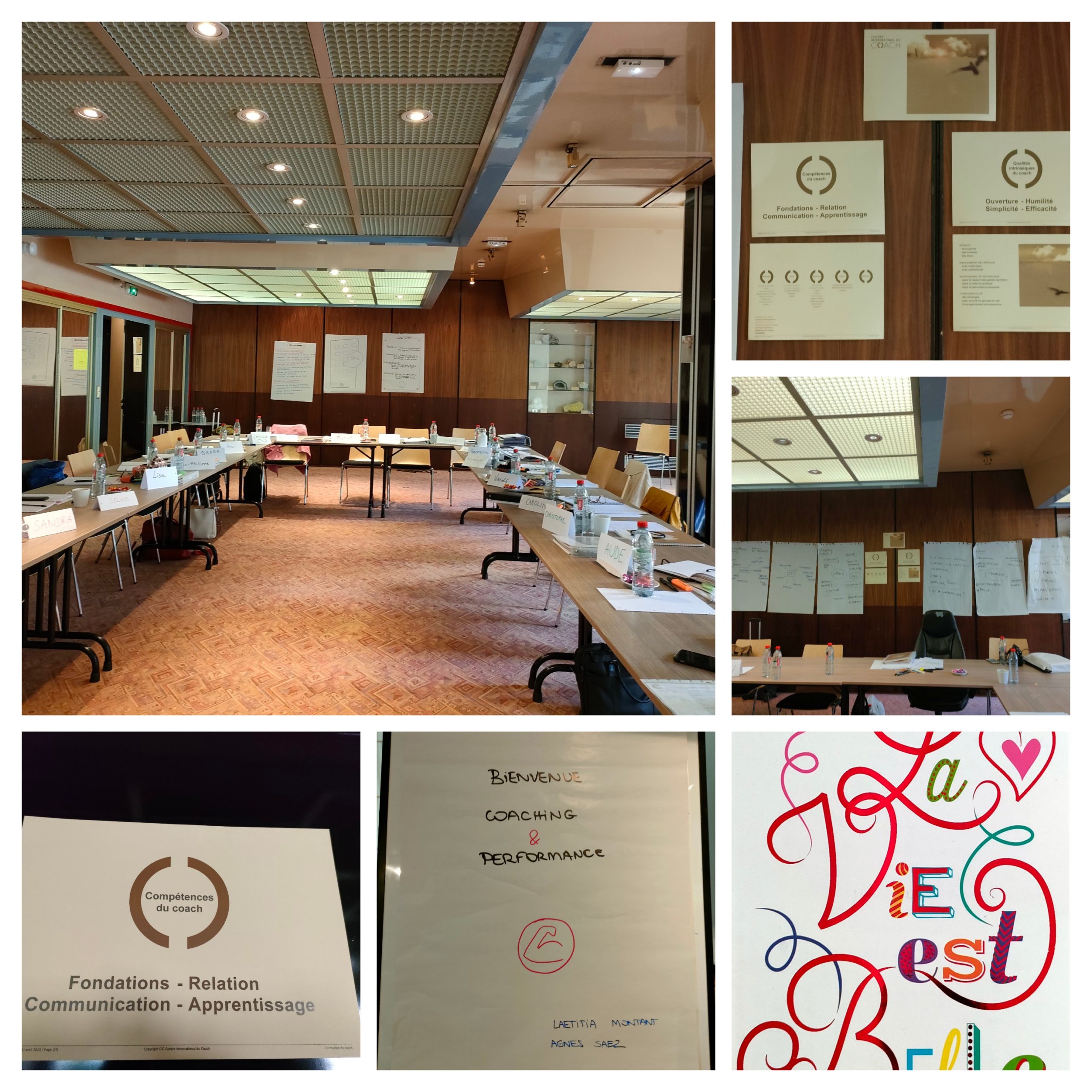 Formation continue => coach professionnel - ACLEA Conseil